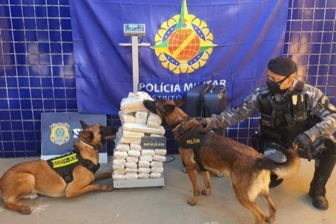 Ministério Da Justiça E Segurança Pública Realizam Operações Com Cães