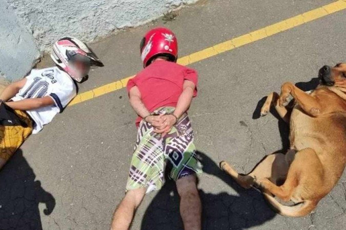Cachorro Caramelo Obedece Policiais E Deita Junto Com Suspeitos Em