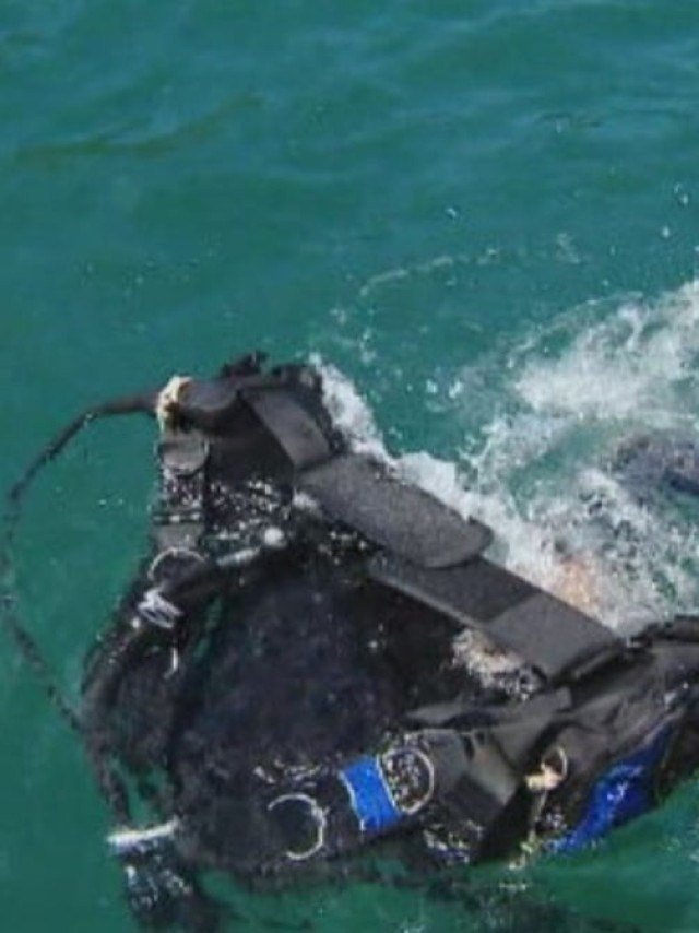 Coral-Sol: Mergulhadores removem espécie invasora no litoral brasileiro