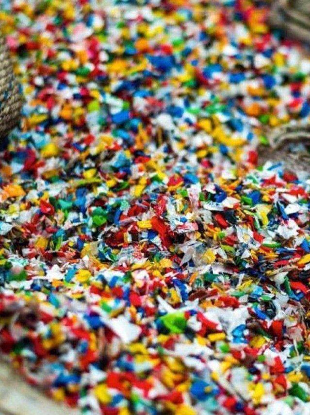 Microplástico é encontrado em órgãos humanos; saiba quais