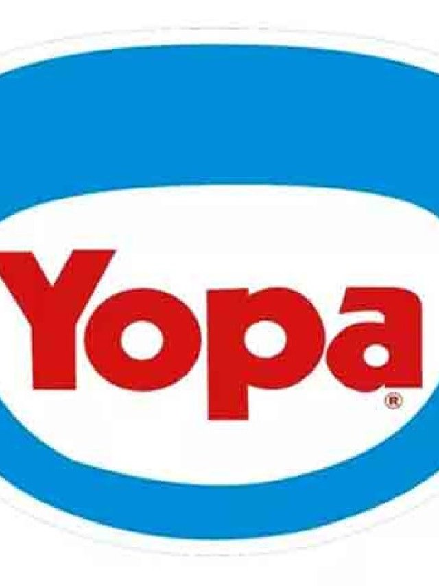 Do sucesso ao declínio: a história dos sorvetes da Yopa