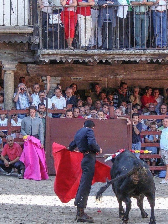 Touradas: Tradição que gera controvérsia e protestos; saiba sua história