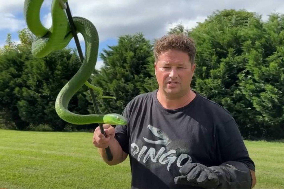 Pra quem não viu: YouTuber que filmava cobras morreu envenenado por ...