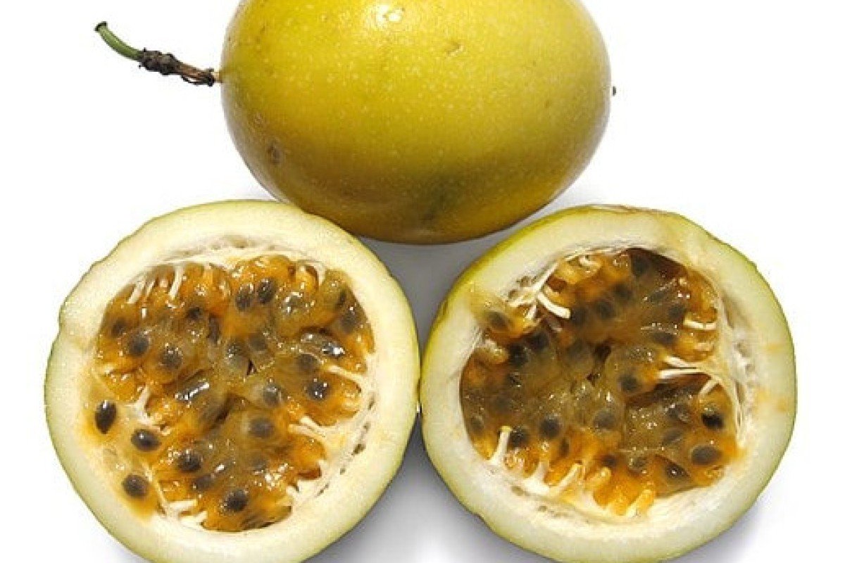 'Calmante natural', maracujá conta com propriedades terapêuticas; confira