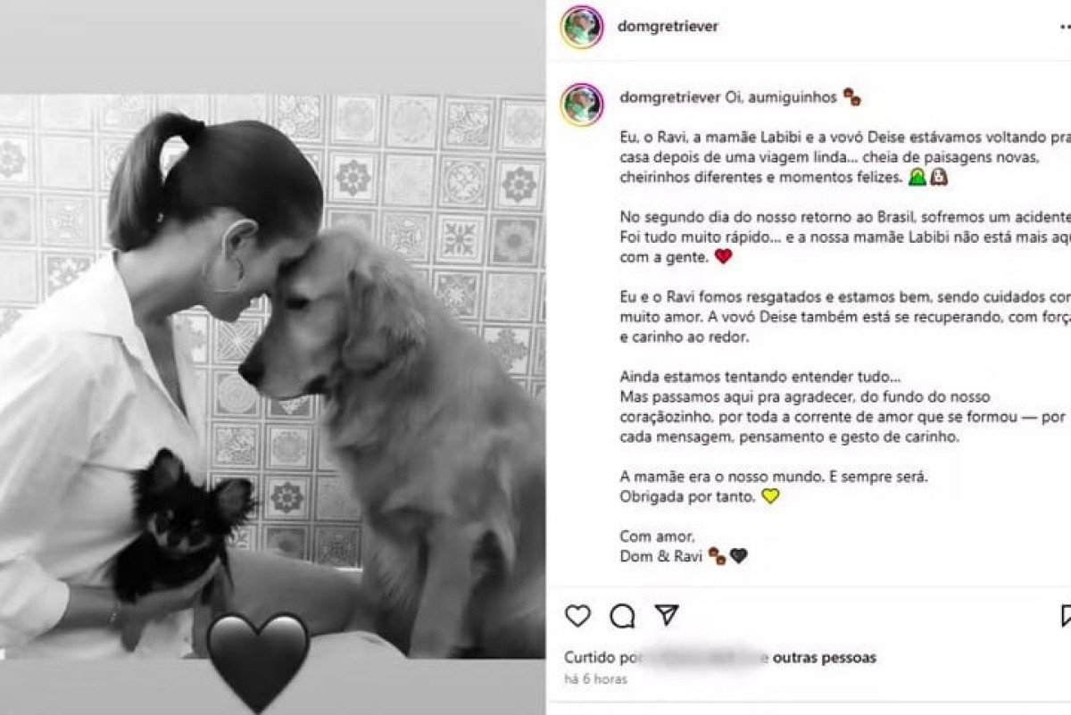 Pra quem não viu: Brasileira leva o cão pra conhecer neve e morre na ...