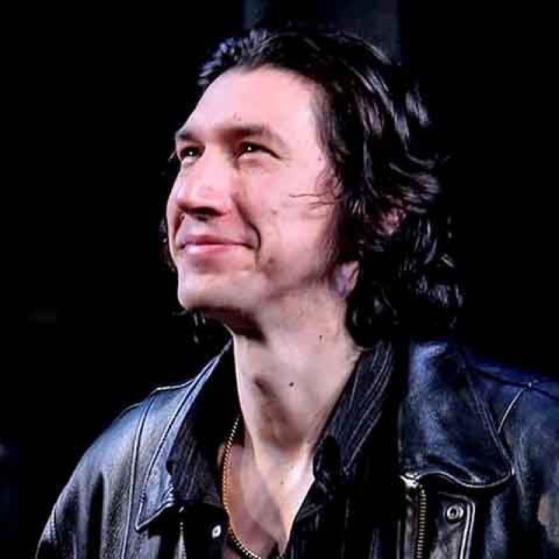 Astro do cinema, Adam Driver foi fuzileiro naval e tem ONG que leva ...