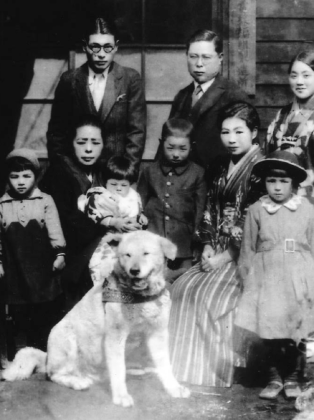 Conheça a história de Hachiko, o cão “mais fiel do mundo”